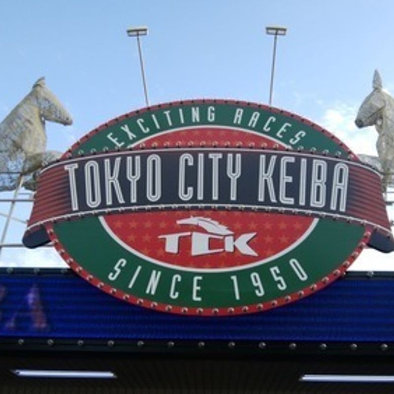 What an experience in TCK! | City-Cost