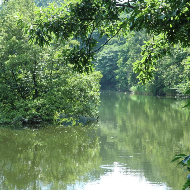 Place Review: Shakuji Park, Nerima-ku, Tokyo | City-Cost