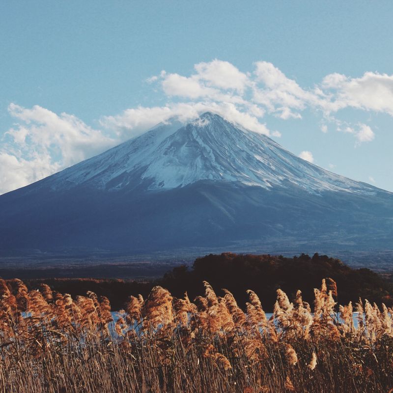 Gallery - Mt Fuji in November | City-Cost