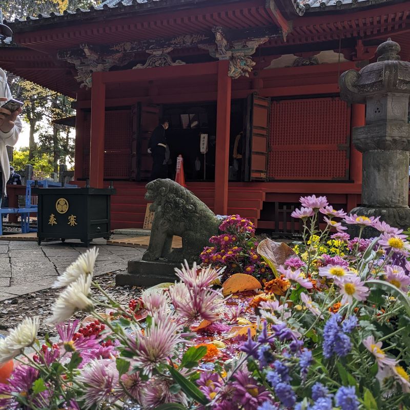 Place Review: Senba Toshogu, Kawagoe-shi, Saitama | City-Cost