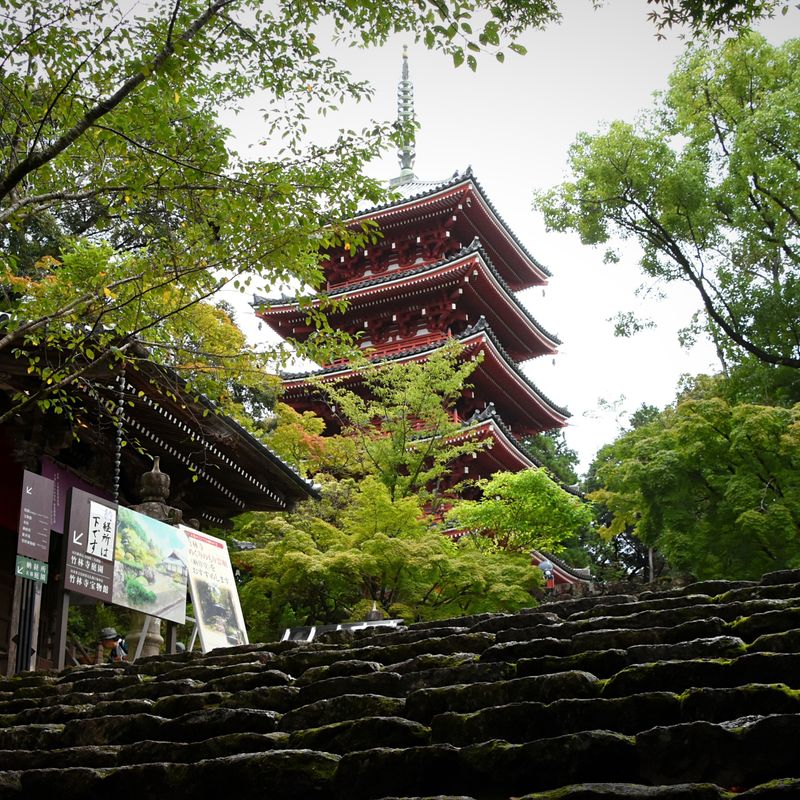 Gallery - Chikurin-ji Temple, Kochi, Japan | City-Cost