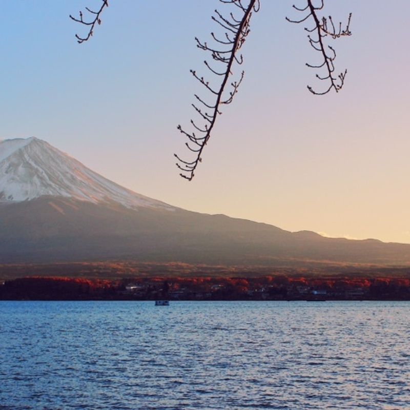 Gallery - Mt Fuji in November | City-Cost