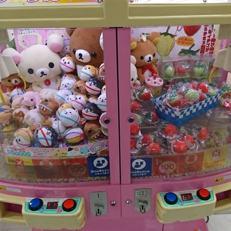 A Guide to Crane Games | City-Cost
