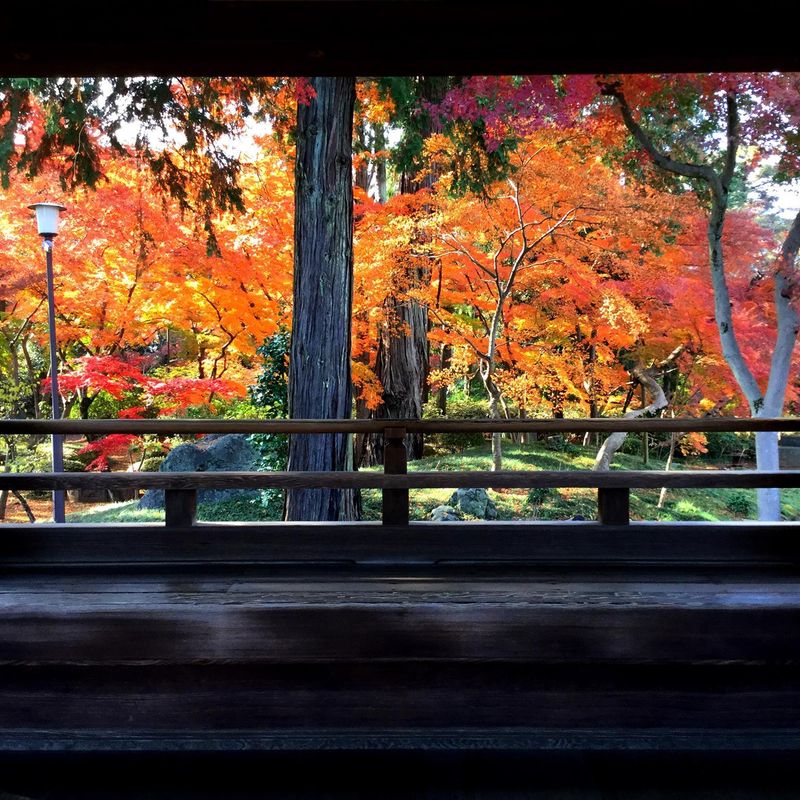 Place Review: Kitain Temple, Kawagoe-shi, Saitama | City-Cost