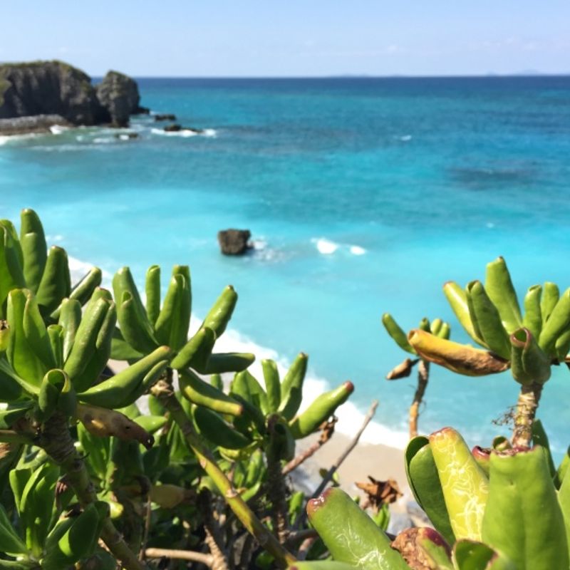 My favorite coastal spot in Japan - Okuma, Okinawa | City-Cost