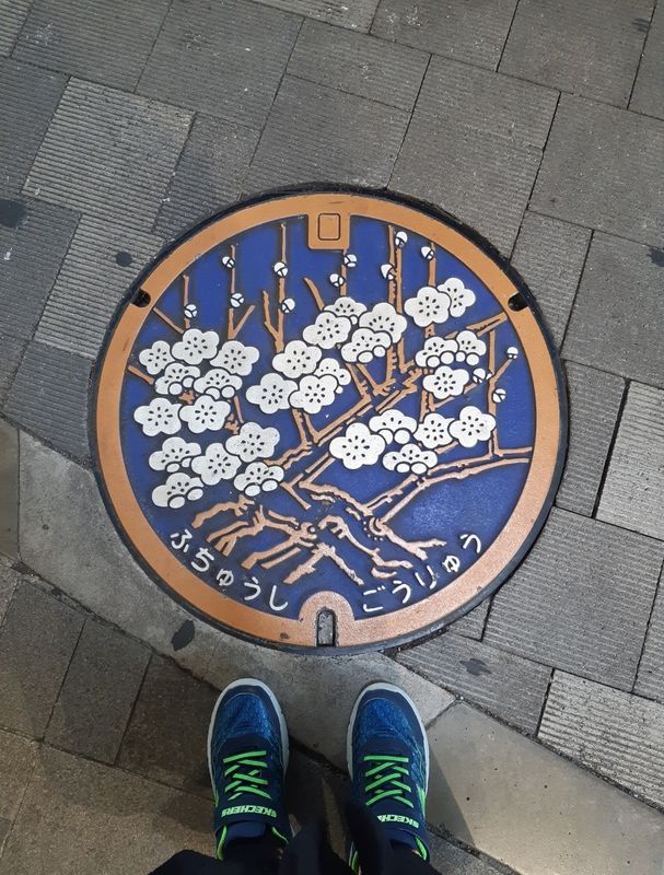 Beautiful Japanese "Manholes" | City-Cost