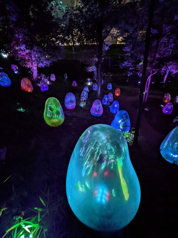 Gallery - teamLab Resonating Life in the Acorn Forest | City-Cost