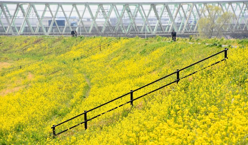 Matsudo City, Chiba | City-Cost