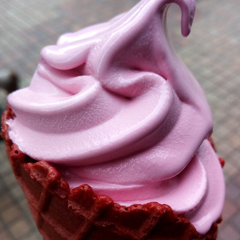 Fall Rose Festival | City-Cost