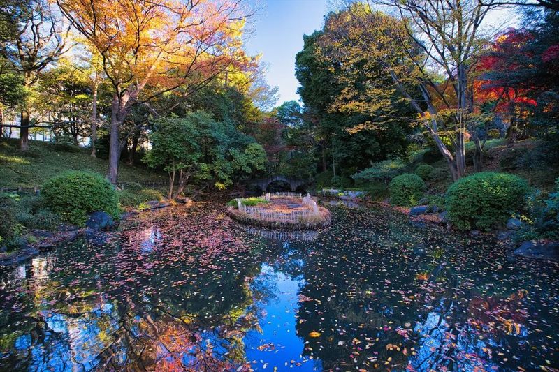 Autumn's last hurrah at Arisugawa-no-miya Park [SPOT REPORT] | City-Cost