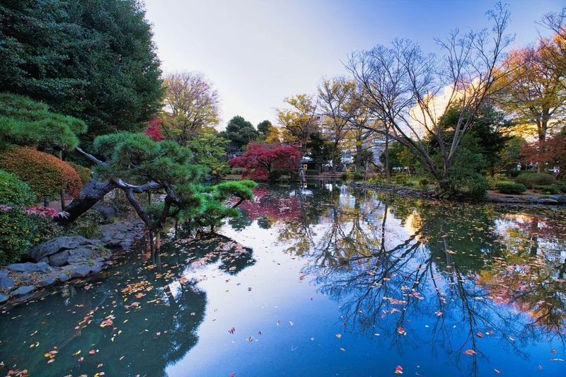 Autumn's last hurrah at Arisugawa-no-miya Park [SPOT REPORT] | City-Cost