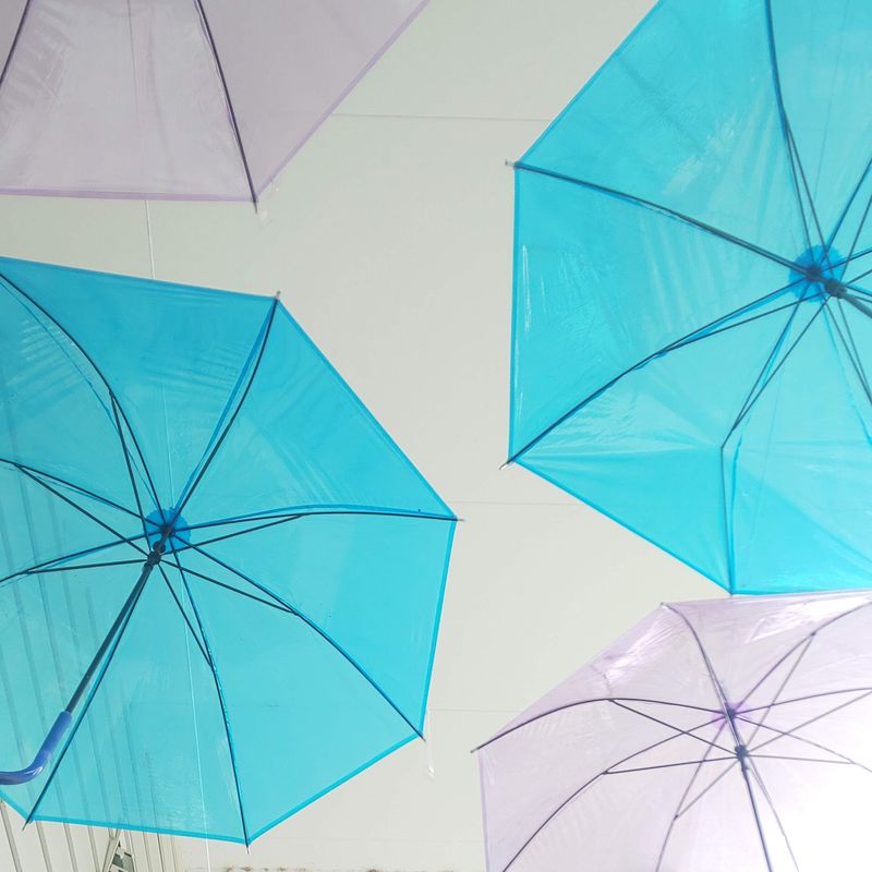 The land of the vinyl umbrellas | City-Cost