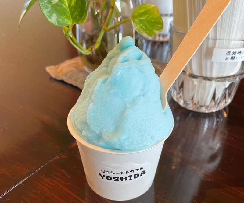 Things I love about summer in Japan: Niigata's huge array of great ...