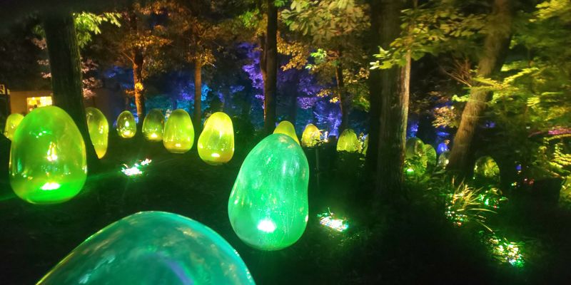 Gallery - teamLab Resonating Life in the Acorn Forest | City-Cost