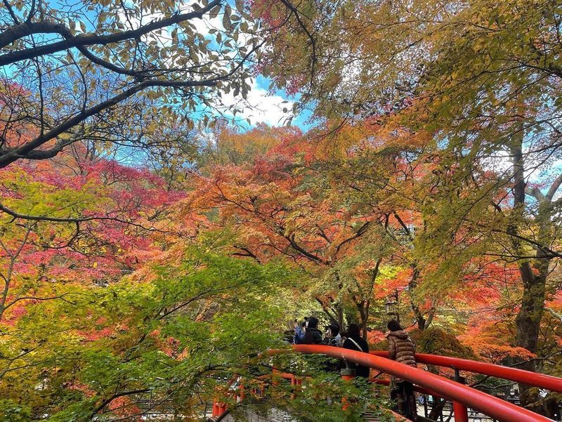Gunma's Ikaho Onsen area delivers the autumnal goods, again [SPOT ...