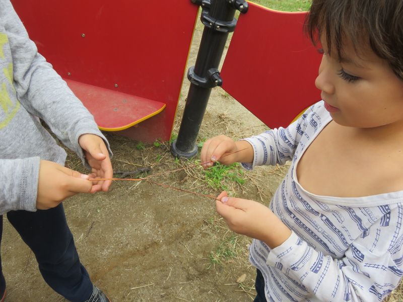 A children's pine needle game at the park | City-Cost