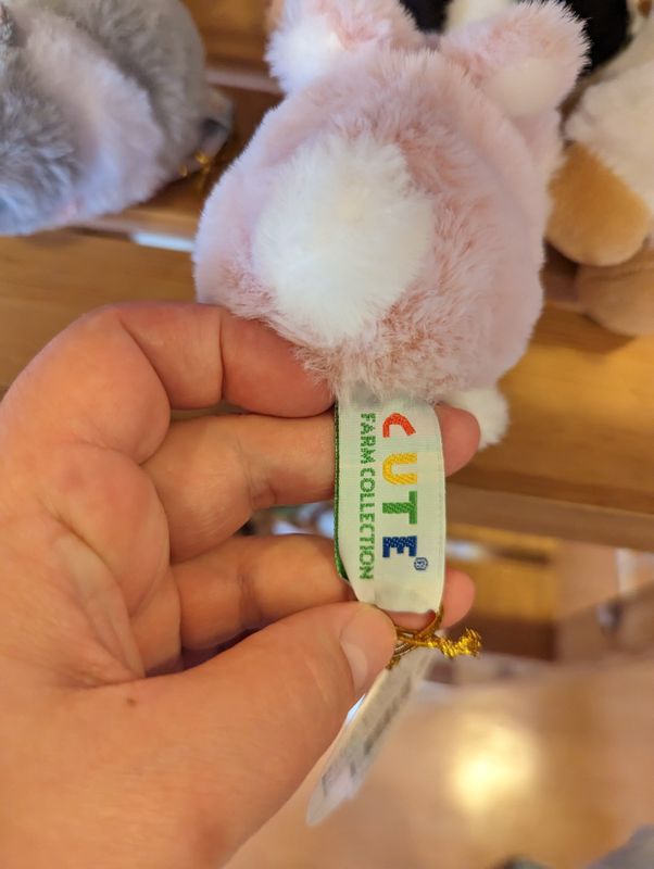 Special Bunny, Excellent Shopping Experience | City-Cost