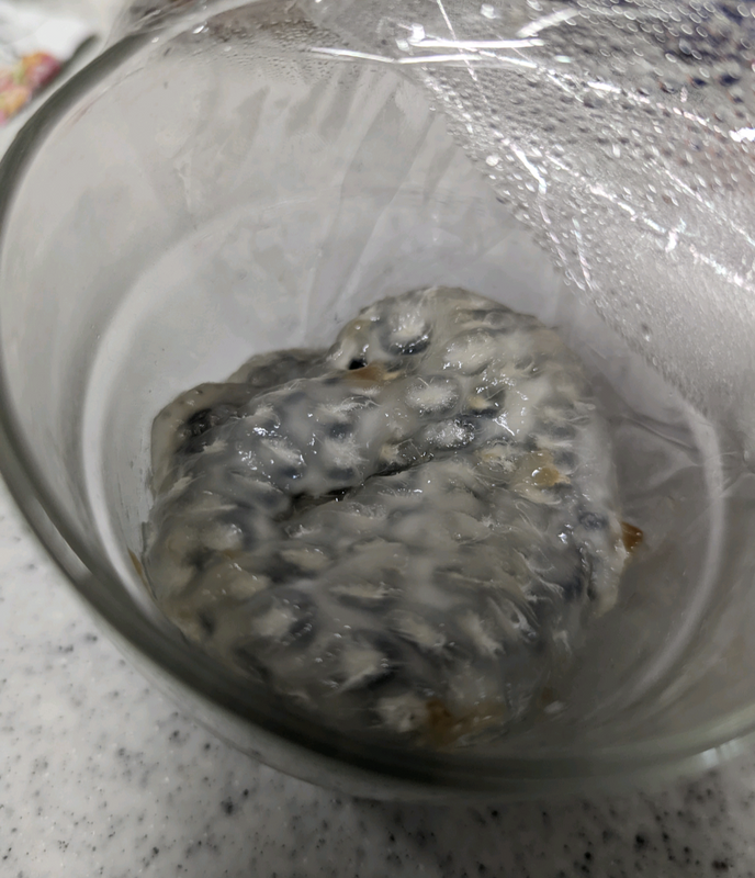 Akebi Jam Making Experiment | City-Cost