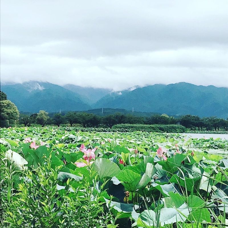 Place Review: Lake Hyoko, Agano-shi, Niigata | City-Cost